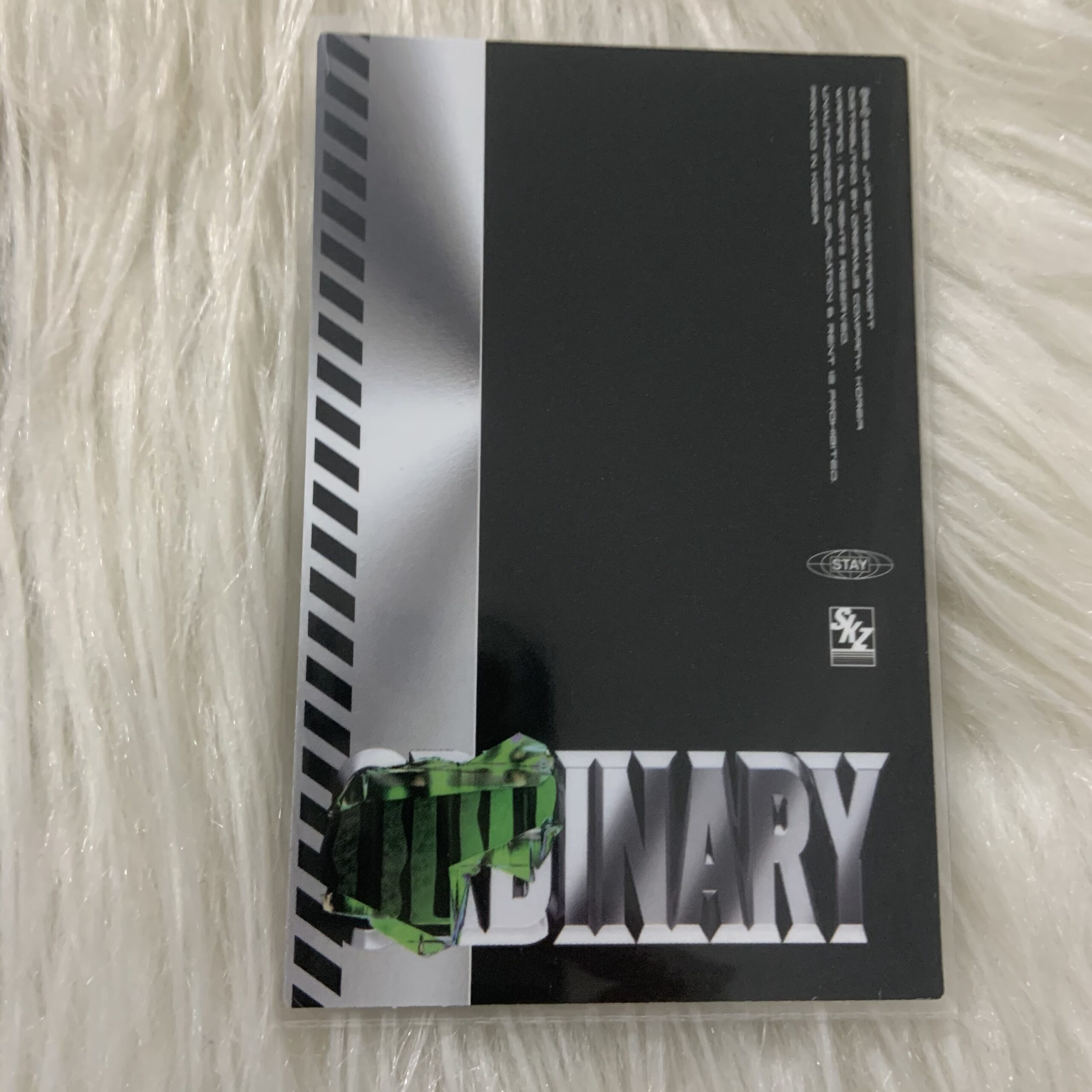 Stray-Kids-Jeongin-Oddinary-ID